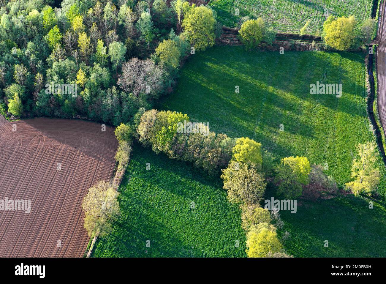agricultural area with trees, aerial picture, Belgium, Vlaams-Brabant ...