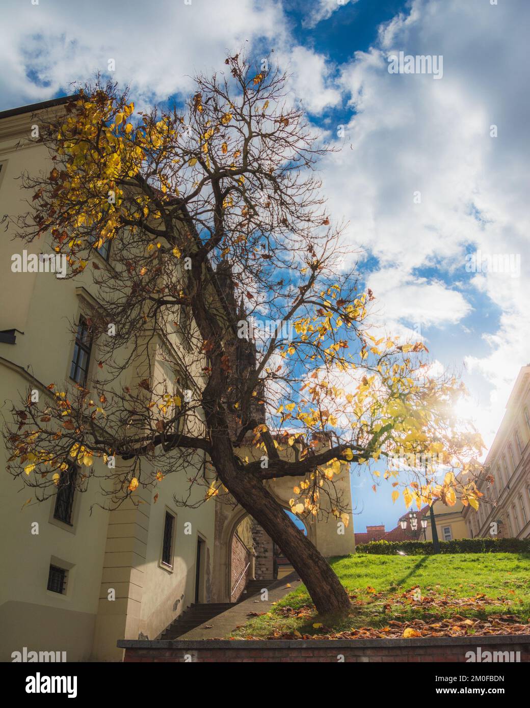 A vertical shot of a beautiful white building and an inclined autumn ...