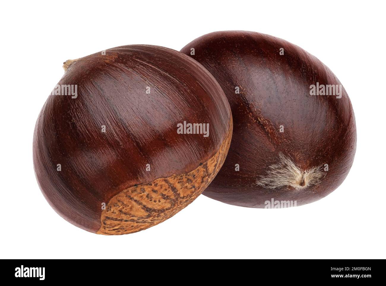 Chestnuts isolated on white background Stock Photo - Alamy