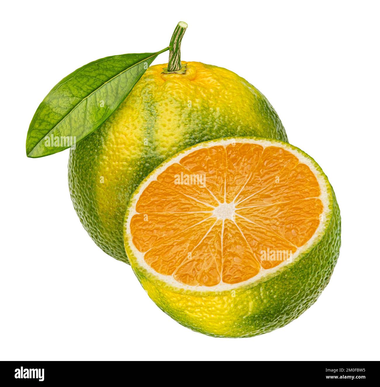Green tangerine isolated on white background Stock Photo - Alamy