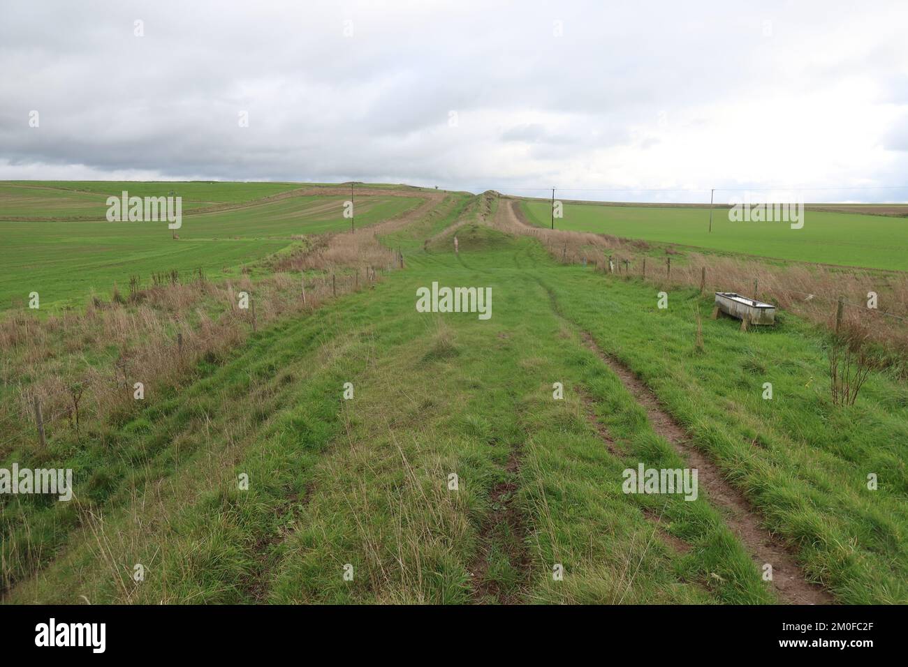 Wansdyke ancient defensive linear earthworks coast to coast defence ...