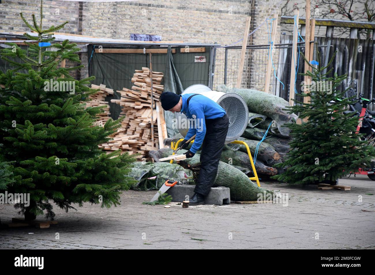 Copenhagen/Denmark/06 December 2022/ Tree vendor sells christmas trees ...