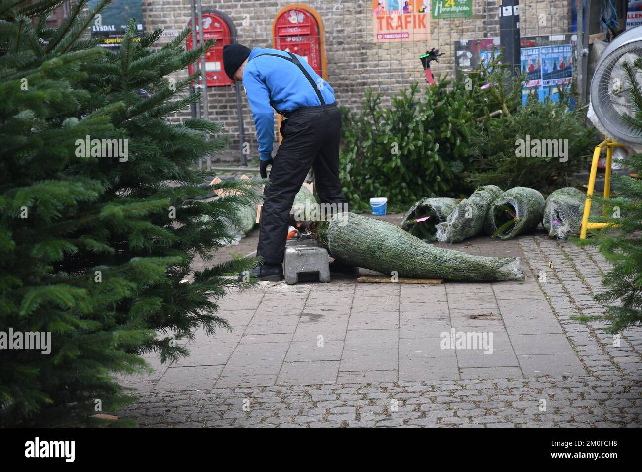 Copenhagen/Denmark/06 December 2022/ Tree vendor sells christmas trees ...