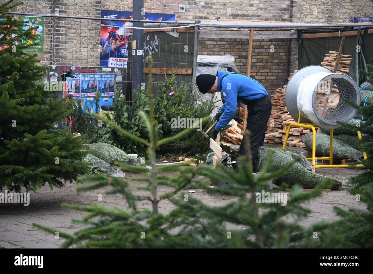 Copenhagen/Denmark/06 December 2022/ Tree vendor sells christmas trees ...