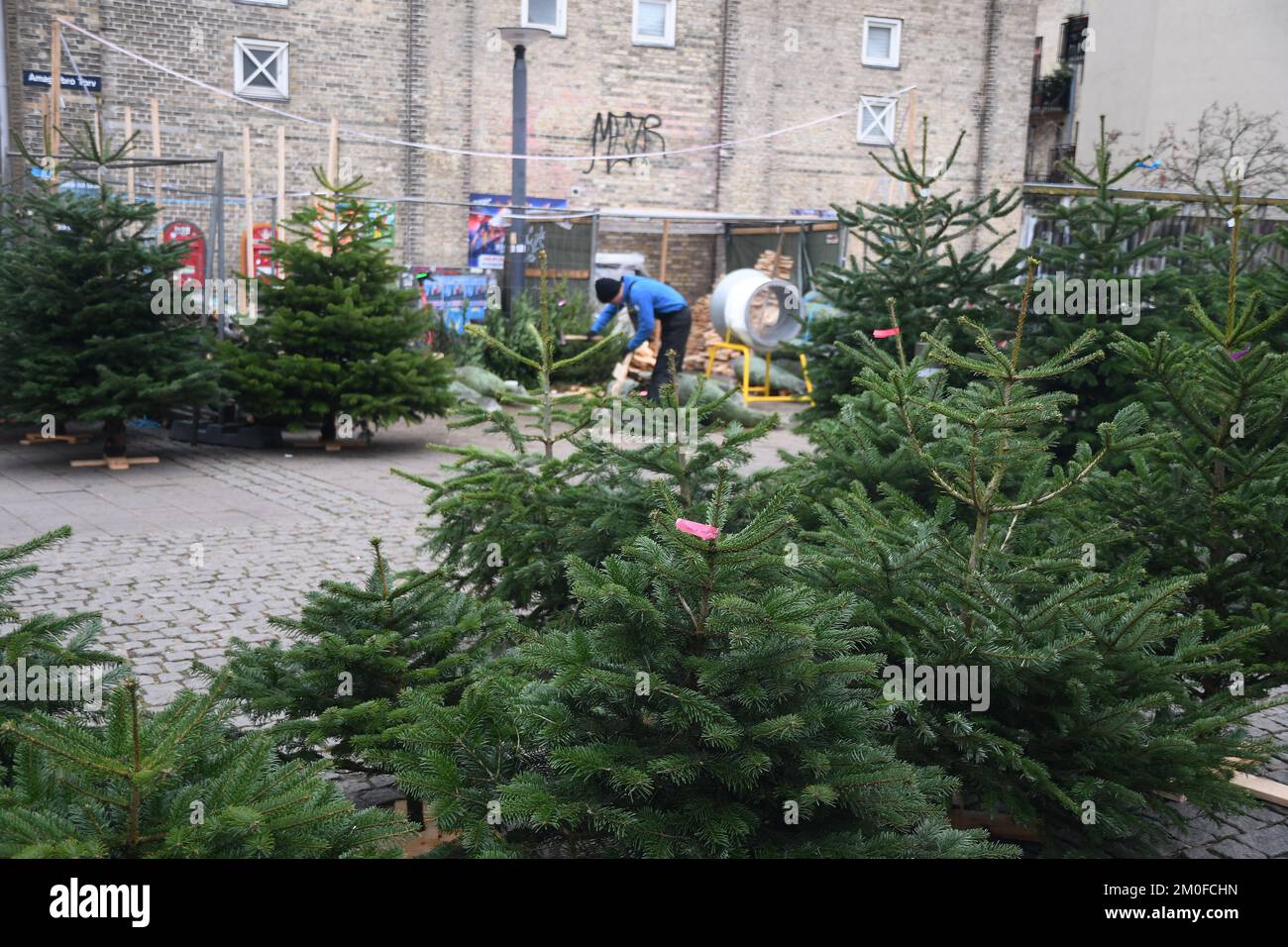 Copenhagen/Denmark/06 December 2022/ Tree vendor sells christmas trees ...