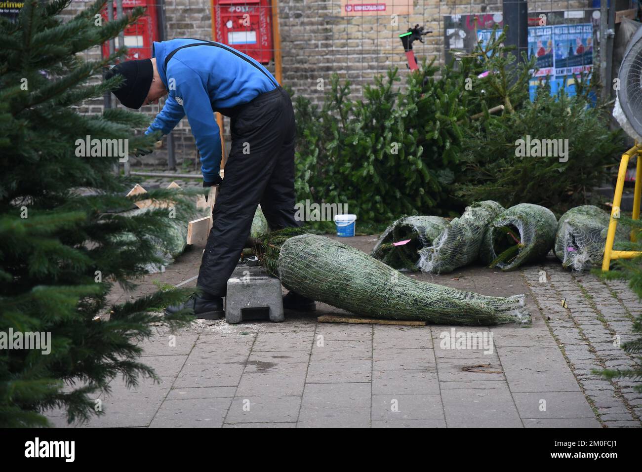 Copenhagen/Denmark/06 December 2022/ Tree vendor sells christmas trees ...