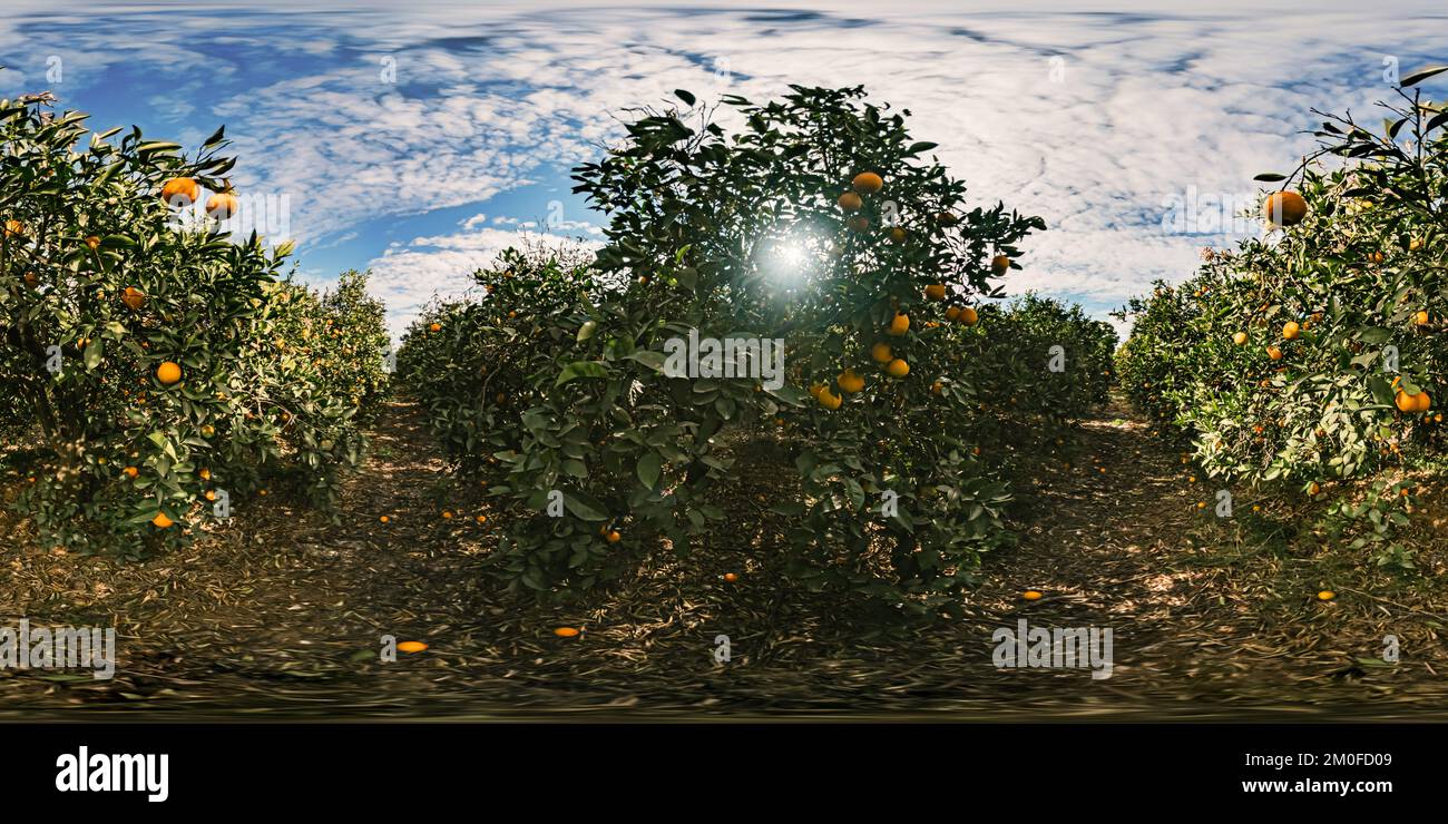 Equirectangular hi-res stock photography and images - Alamy
