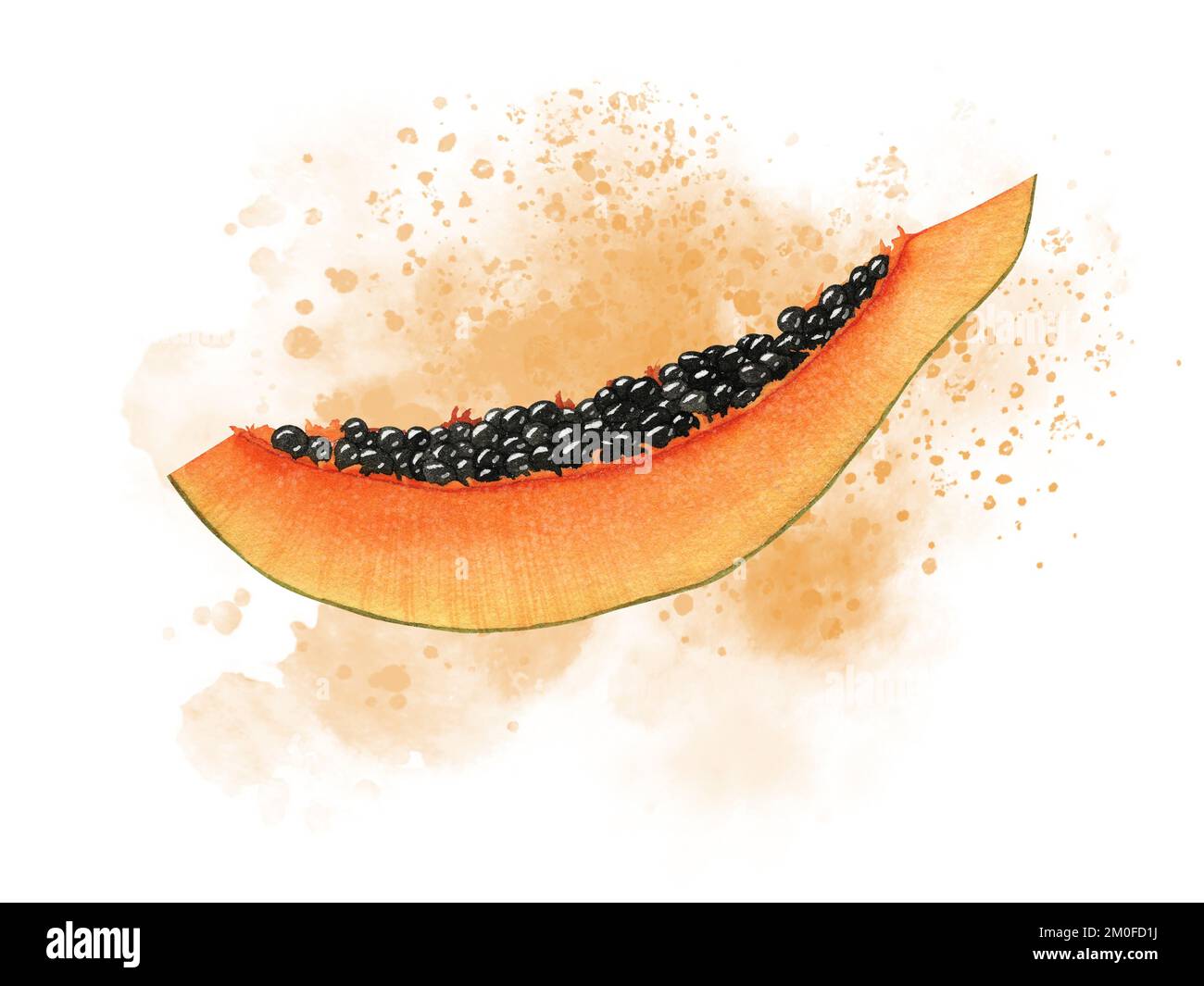 Watercolor Papaya Fruit with splashes of juice. Hand drawn food ...