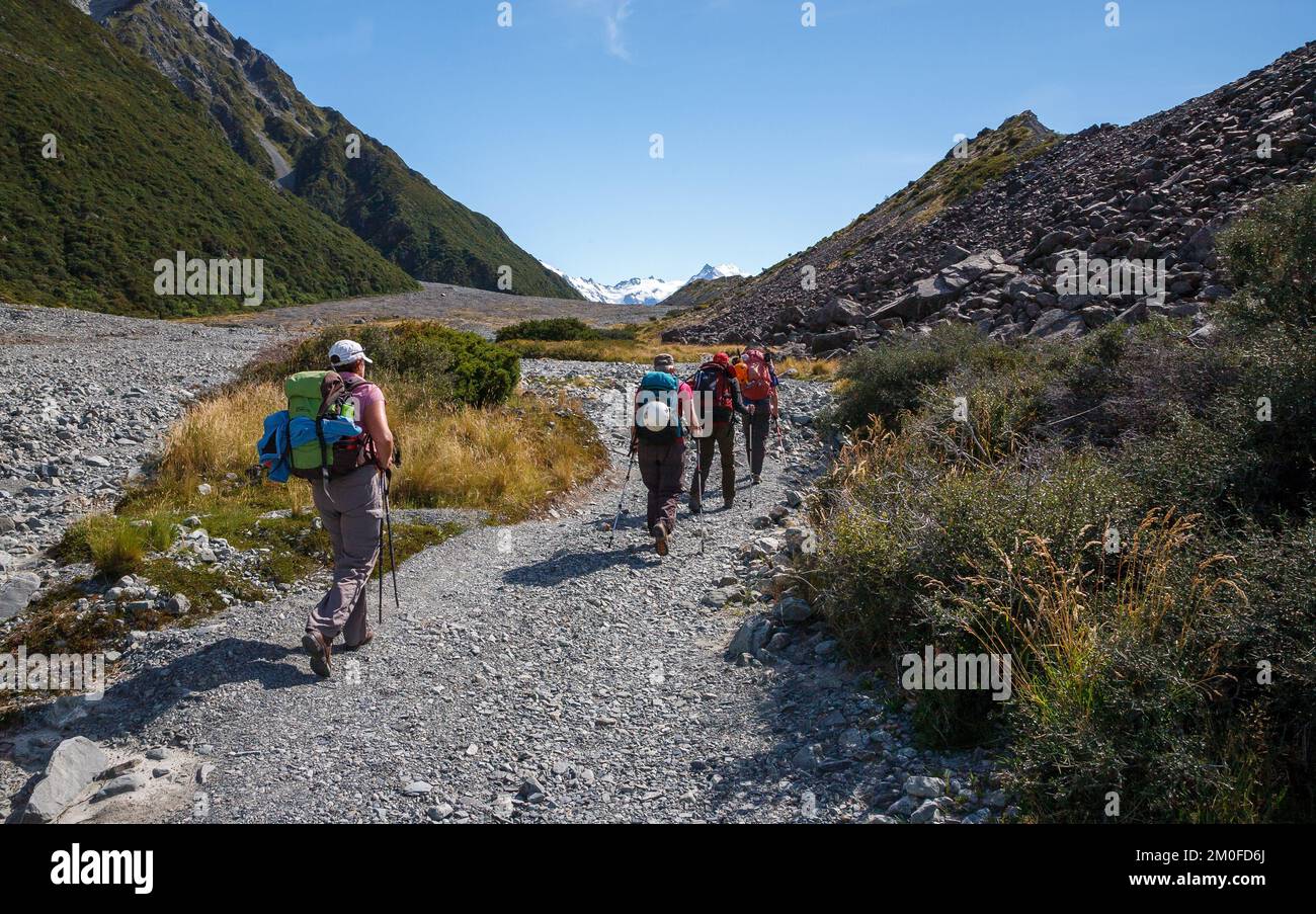 Hikers on Ball Pass guided Trek in Mount Cook New Zealand Stock Photo ...