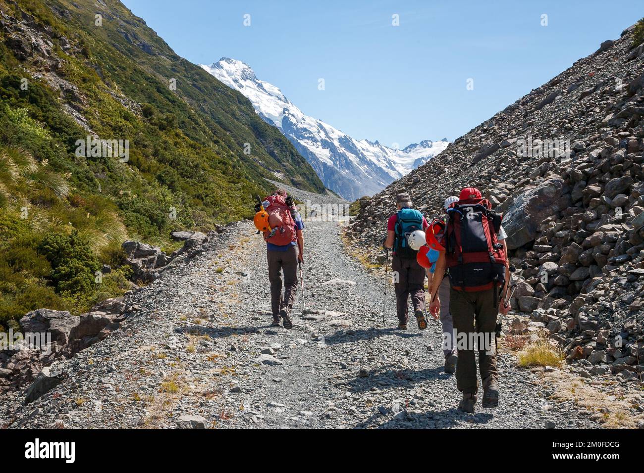 Hikers on Ball Pass guided Trek in Mount Cook New Zealand Stock Photo ...