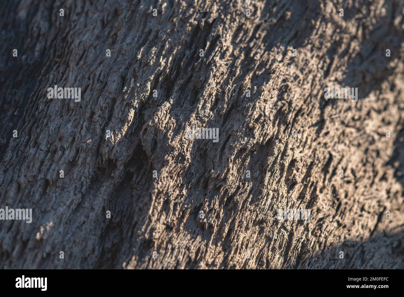 Web design natural texture hi-res stock photography and images - Alamy