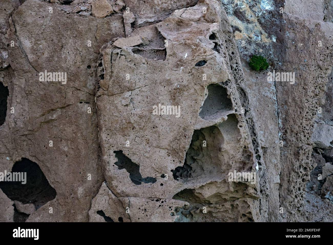 baja california sur cortez sea rocks detail close up Stock Photo - Alamy