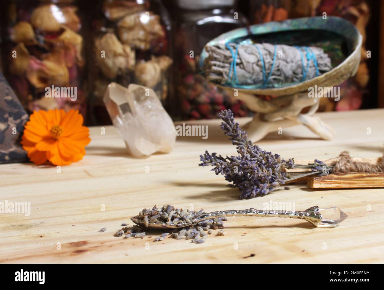 Dried Lavender With Palo Santo Wood and Abalone Shell For Smudging ...