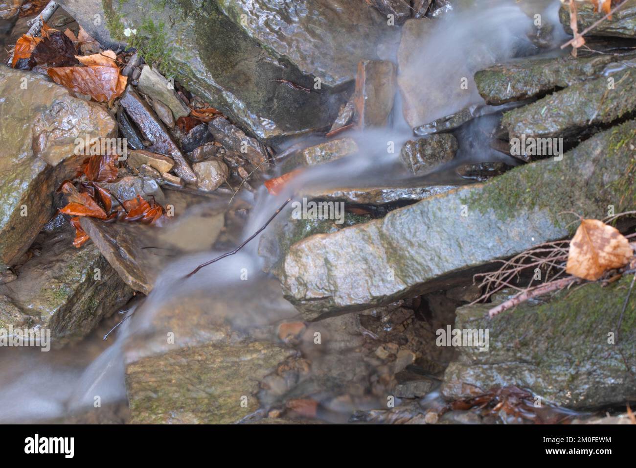 Natural backgrounds outdoors patterns fern plant life and rocks water ...