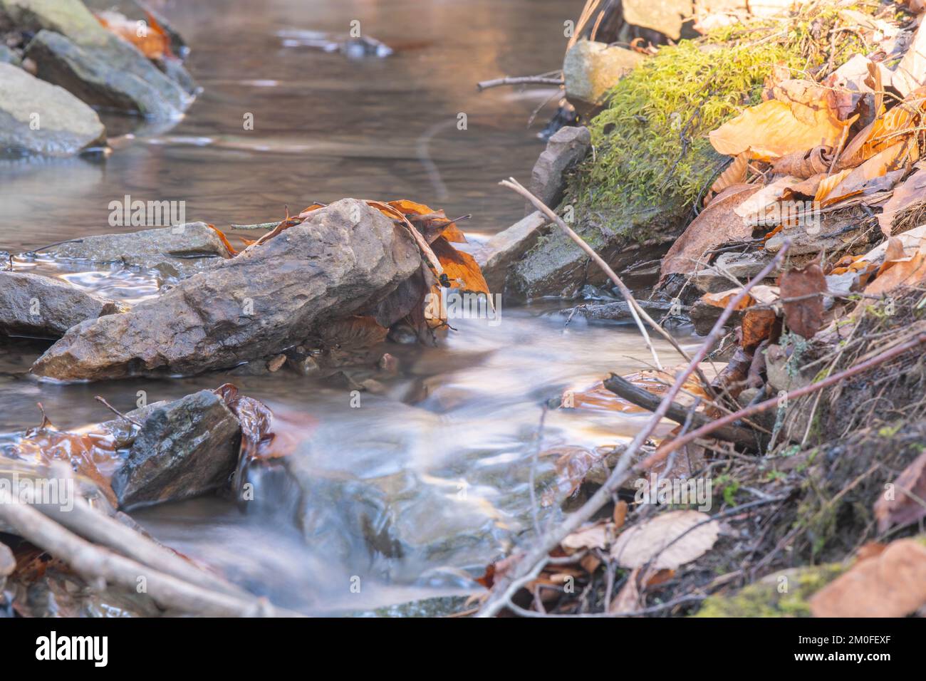Natural backgrounds outdoors patterns fern plant life and rocks water ...