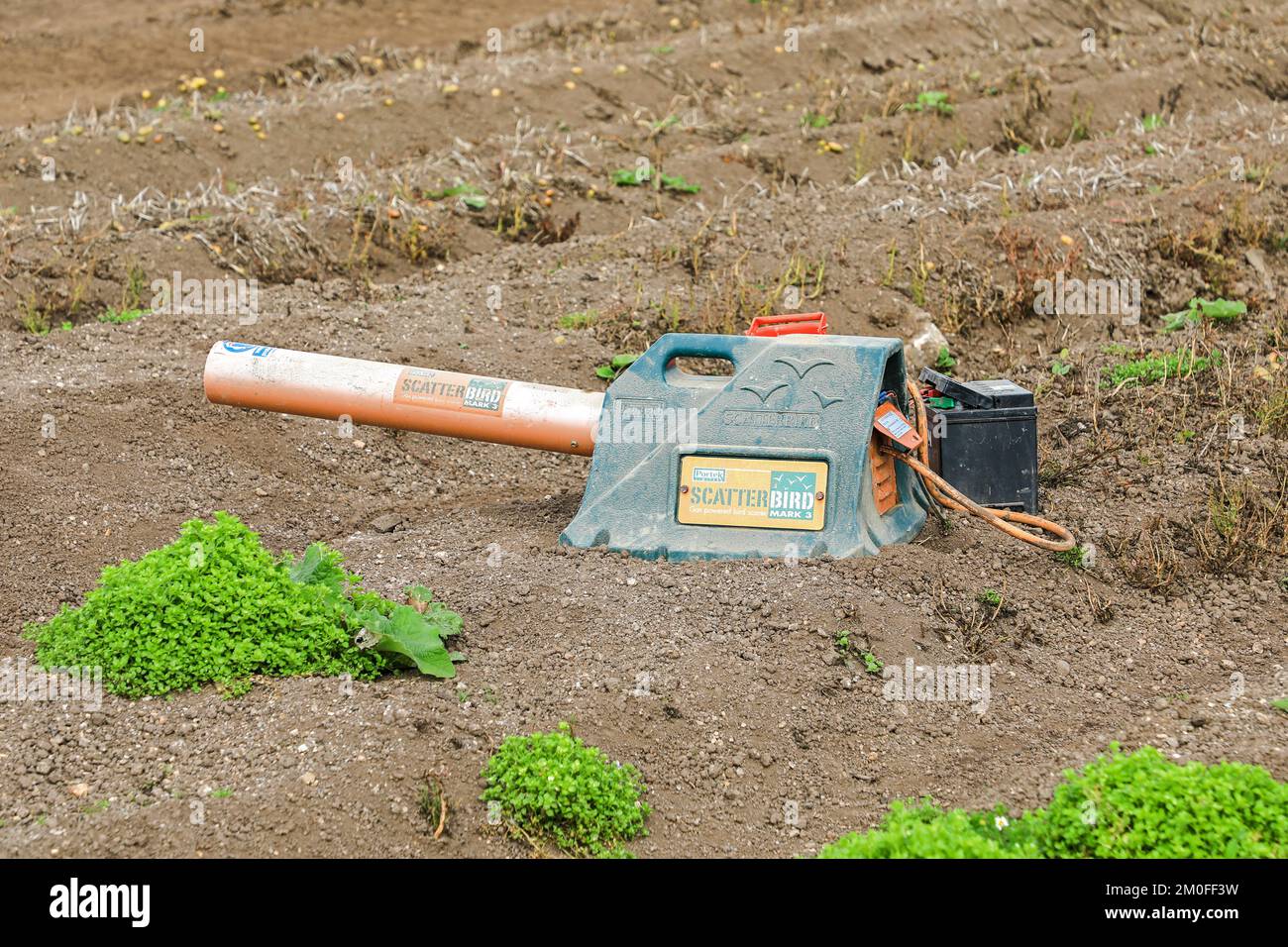 A Portek Scatterbird Mark 3 gas powered bird scarer in a field, England ...