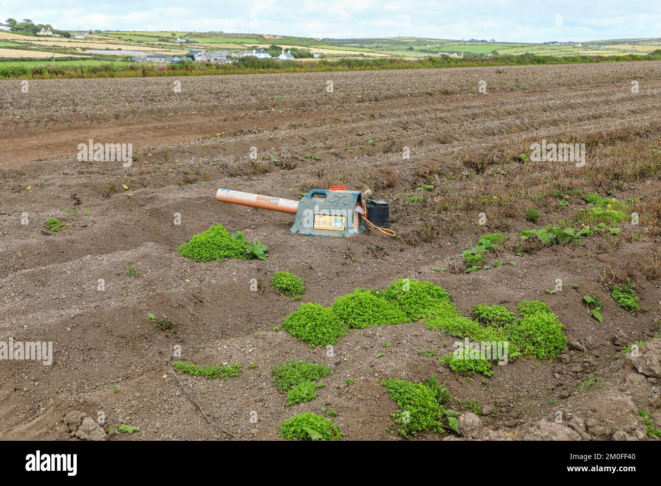 Bird scarer hi-res stock photography and images - Alamy