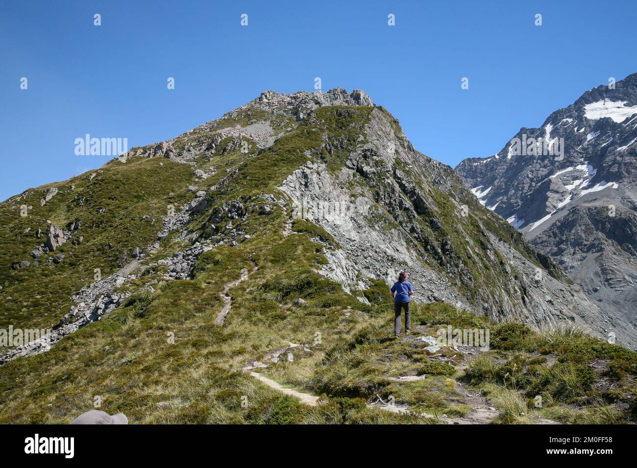 Hikers on Ball Pass guided Trek in Mount Cook New Zealand Stock Photo ...