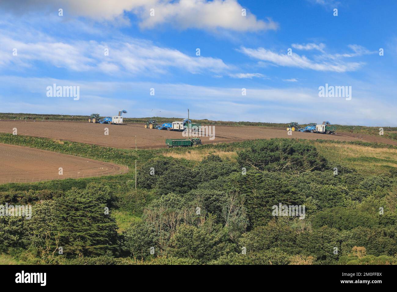 Mechanical potato pickers hi-res stock photography and images - Alamy