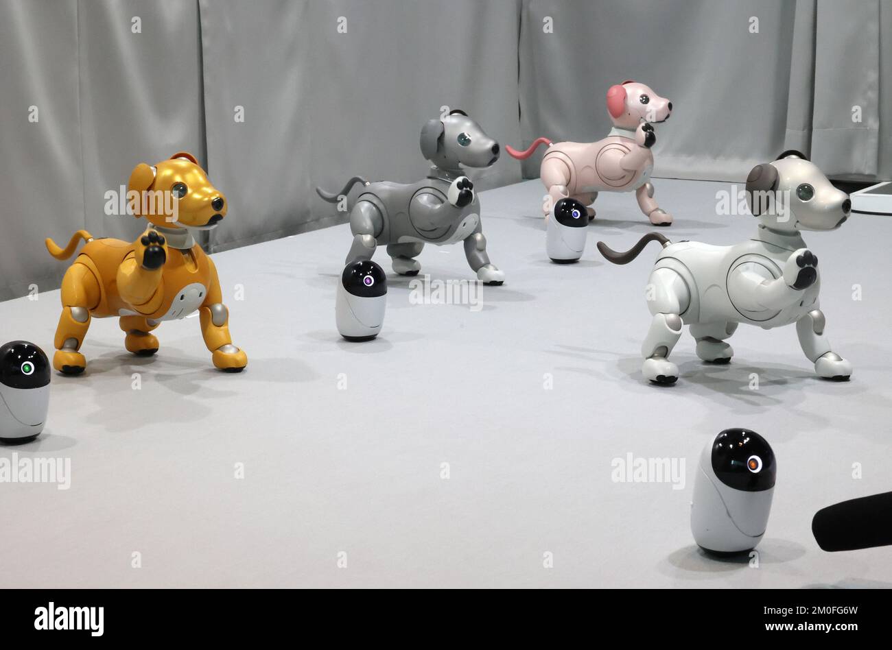 Tokyo, Japan. 6th Dec, 2022. Japanese electronics giant Sony's robot ...