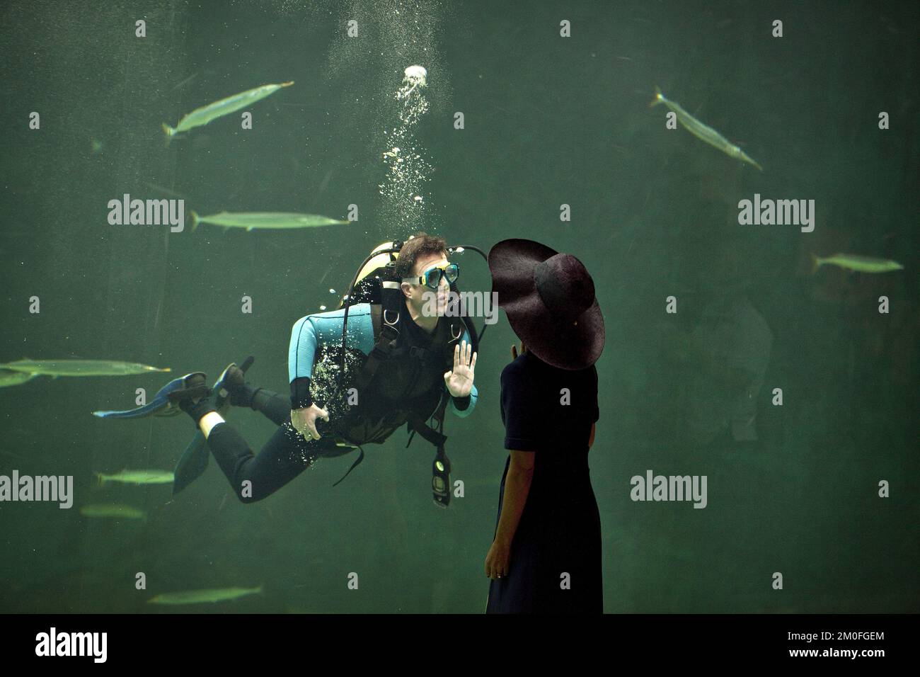 Scuba tank silhouette standing hi-res stock photography and images - Alamy