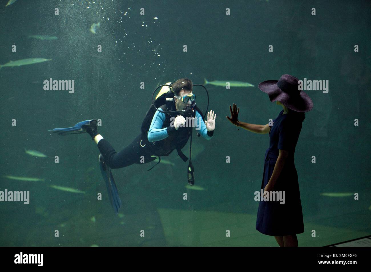 Scuba tank silhouette standing hi-res stock photography and images - Alamy