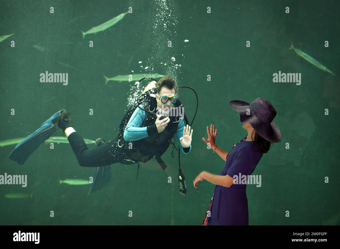 Scuba tank silhouette standing hi-res stock photography and images - Alamy
