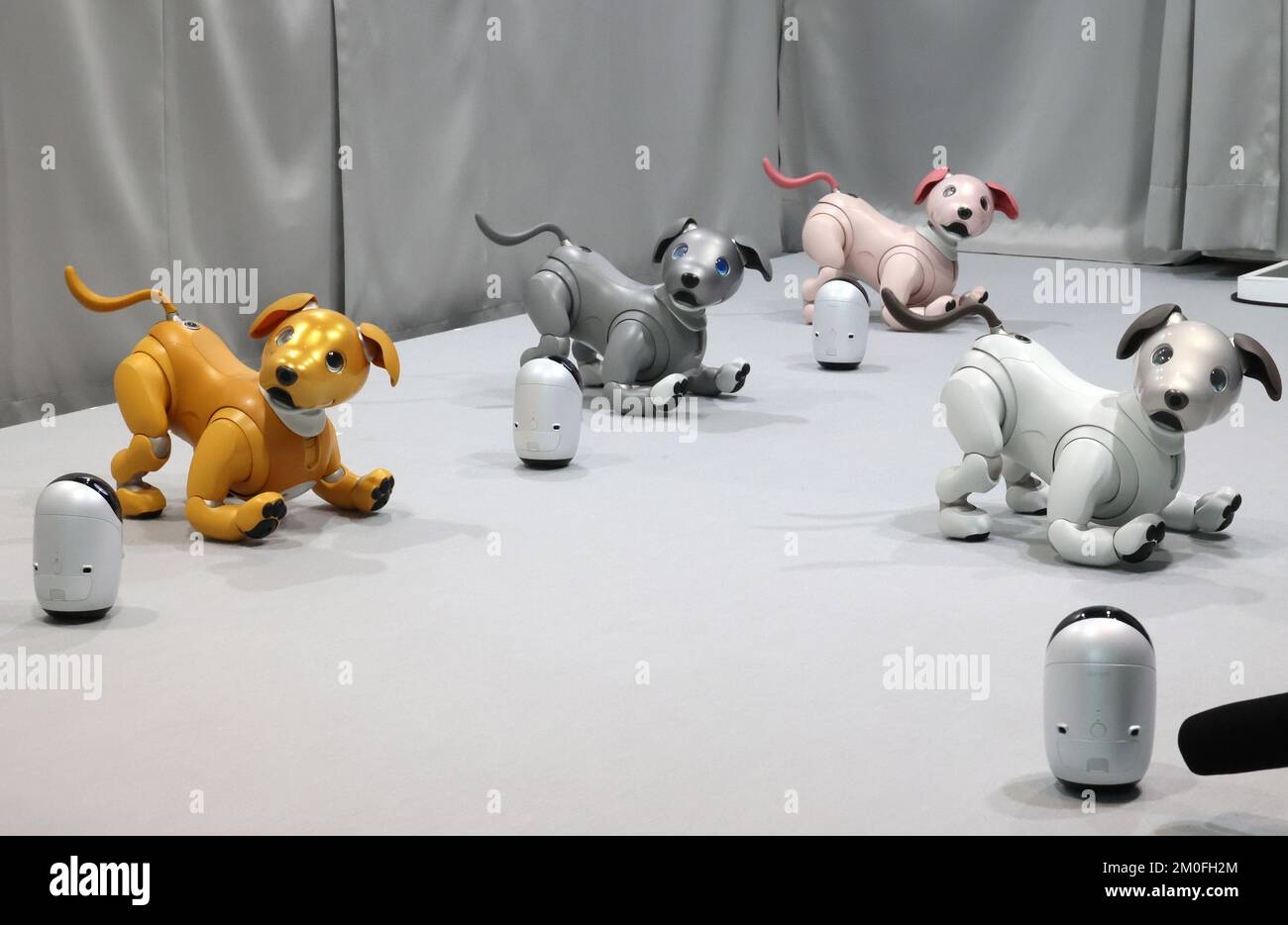 Tokyo, Japan. 6th Dec, 2022. Japanese electronics giant Sony's robot dog Aibo and communication ...