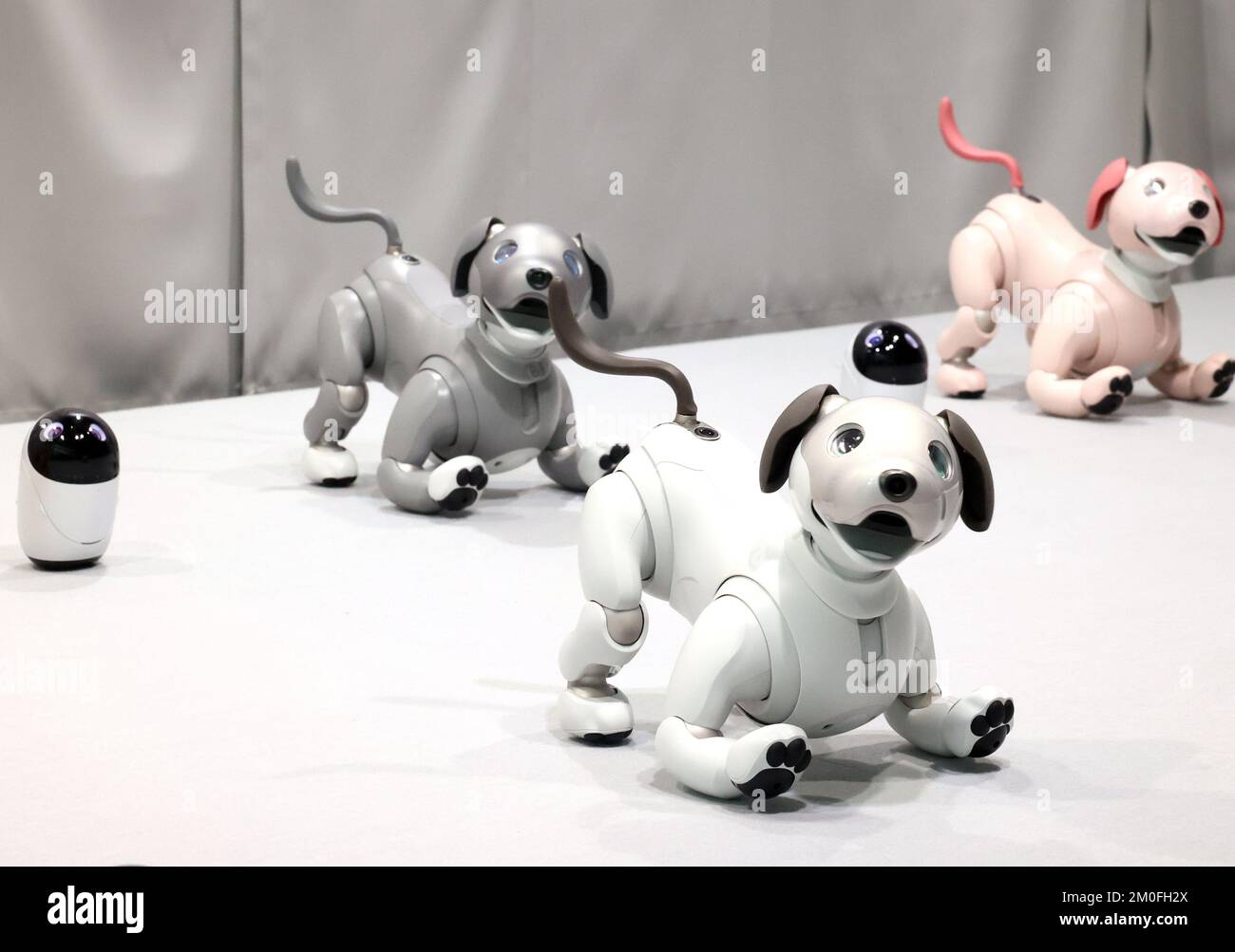 Tokyo, Japan. 6th Dec, 2022. Japanese electronics giant Sony's robot ...