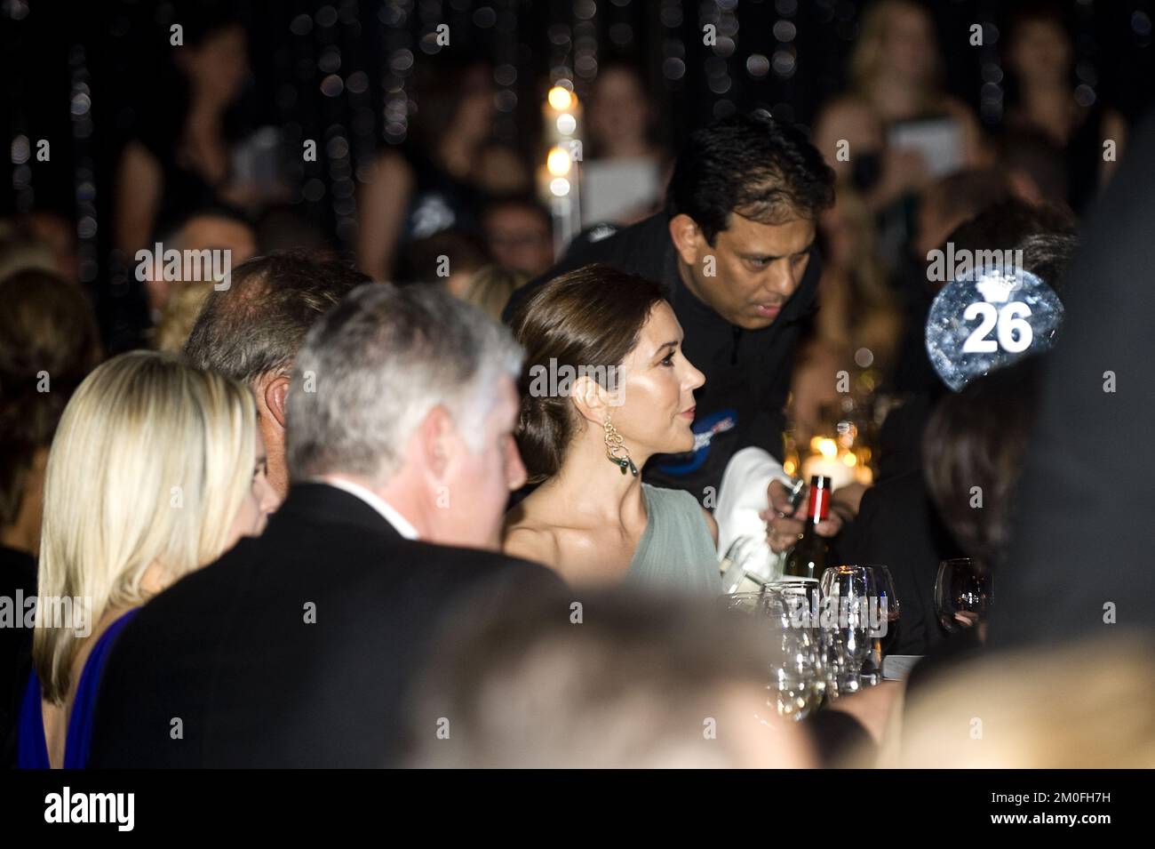 Crown Prince Frederik and Crown Princess Mary attended the Starry ...