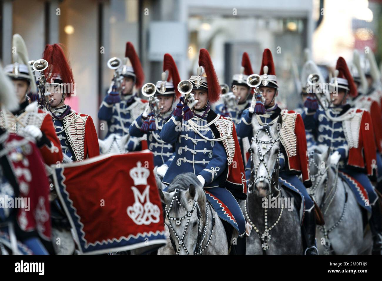 Tens of thousands of flag-waving Danes braved near-freezing ...