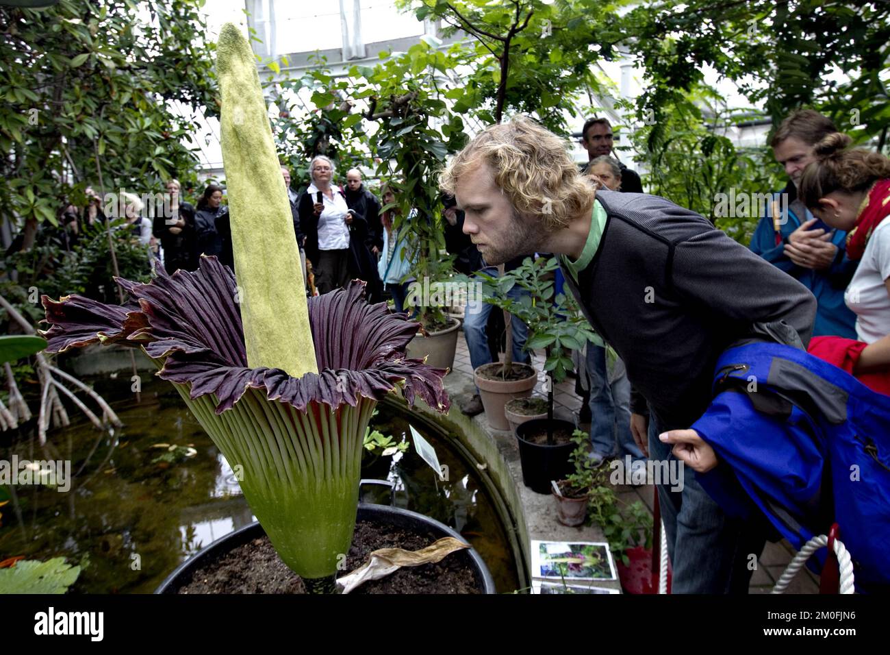 This is nothing less than a sensation in Copenhagen Botanical Garden ...
