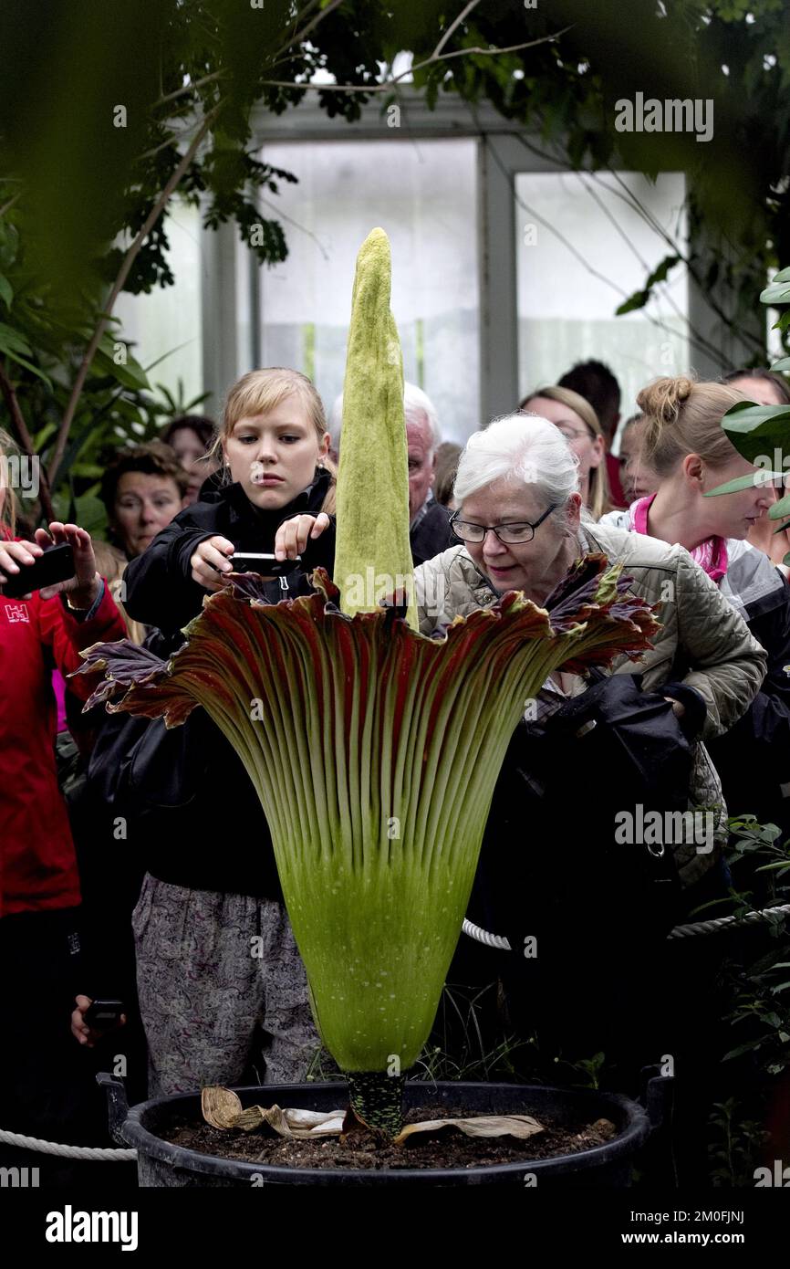 This is nothing less than a sensation in Copenhagen Botanical Garden ...