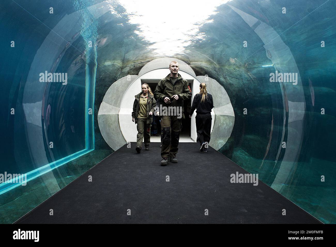 The official opening of the Arctic Ring of Copenhagen Zoo. The facility ...