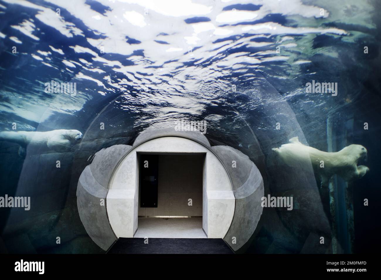 The official opening of the Arctic Ring of Copenhagen Zoo. The facility ...