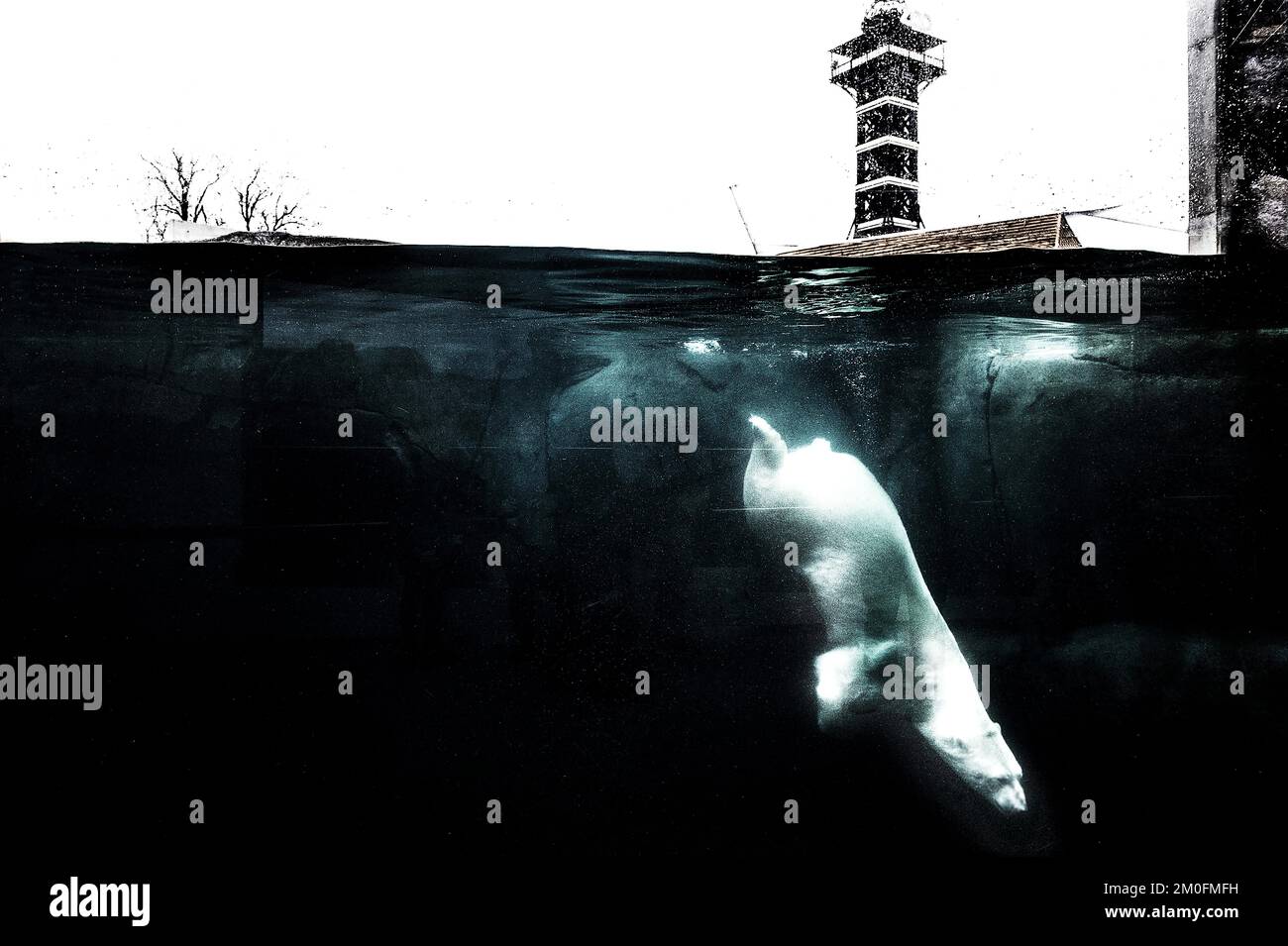 The official opening of the Arctic Ring of Copenhagen Zoo. The facility ...