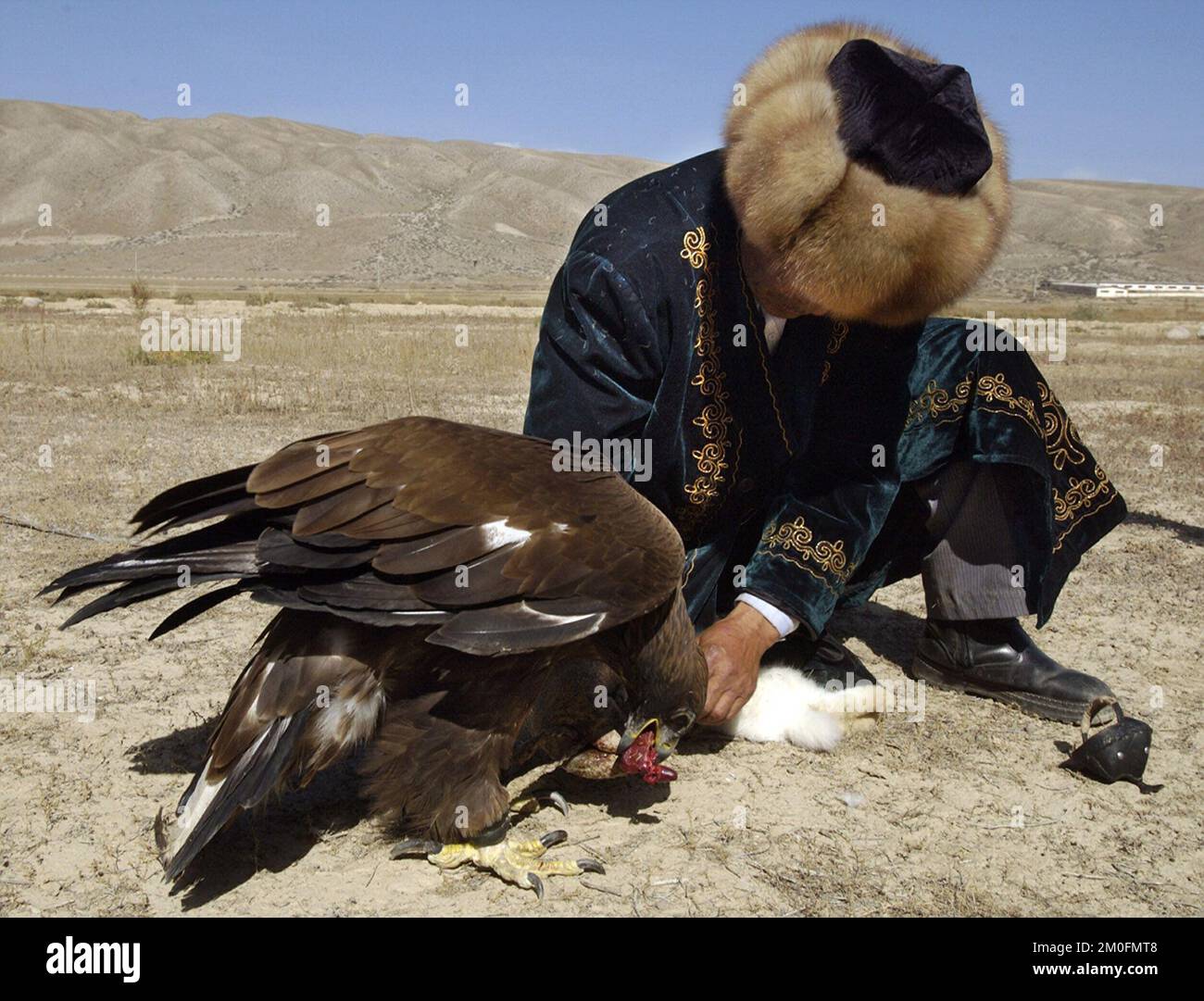 Kazakstan 2002. The last eagle hunters in the world. In Kazakstan a man ...
