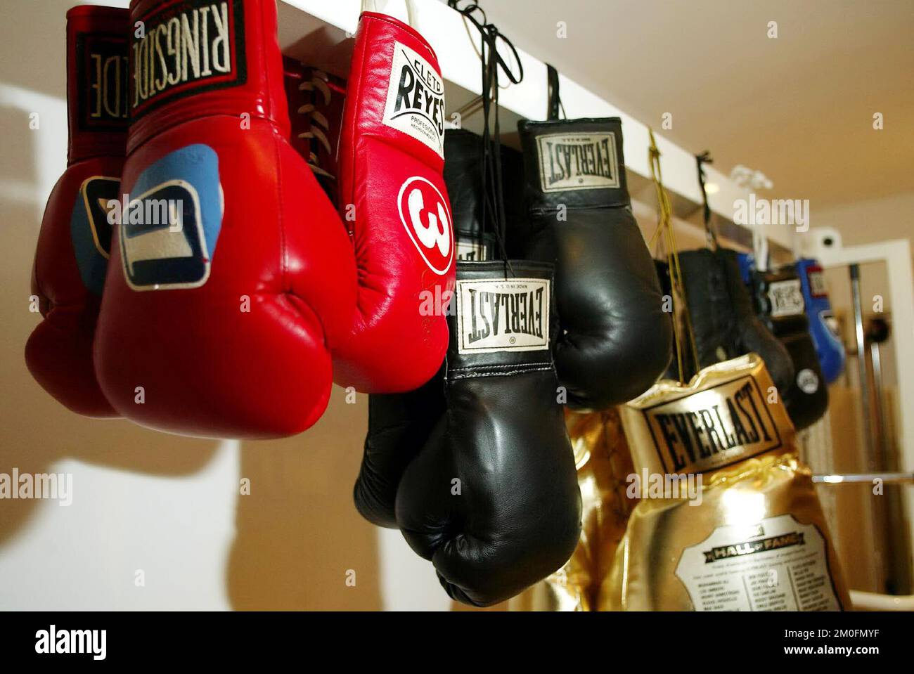 Boxing gloves from Danish boxer Brian Nielsen who has moved to Costa ...