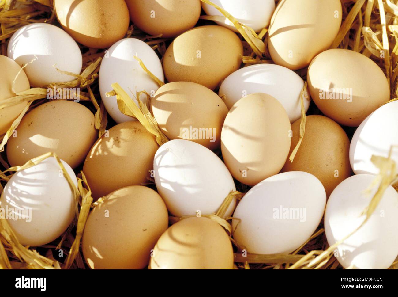 Easter in denmark many eggs hi-res stock photography and images - Alamy