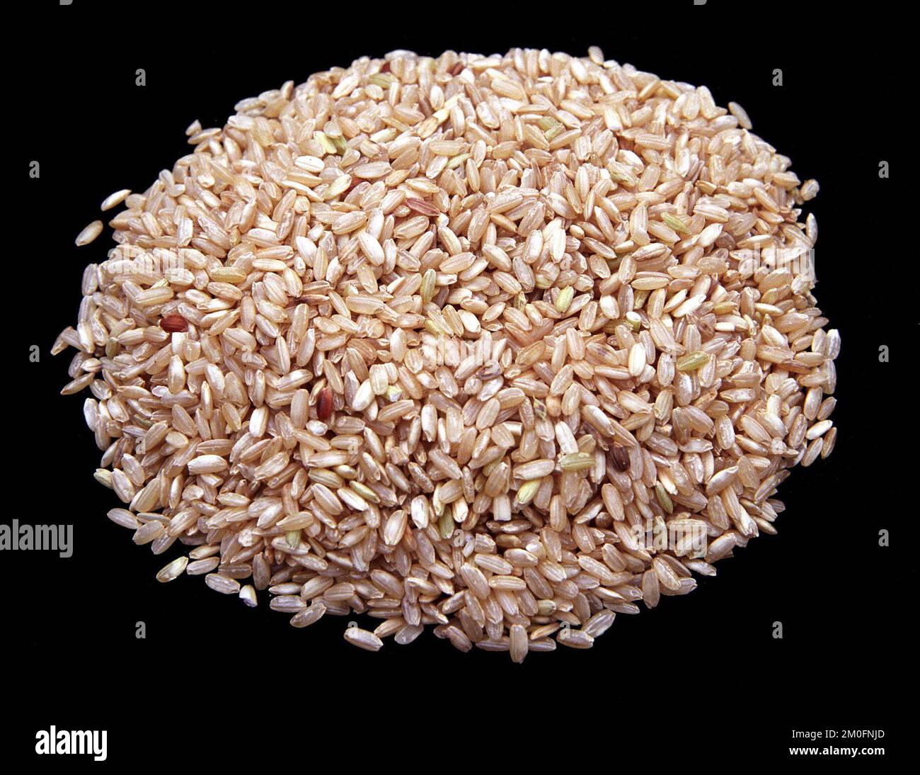 Photos polfoto hi-res stock photography and images - Alamy