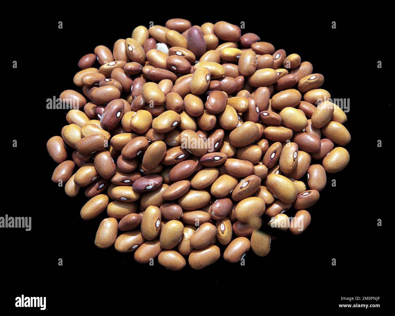 General view of Brown beans Stock Photo - Alamy