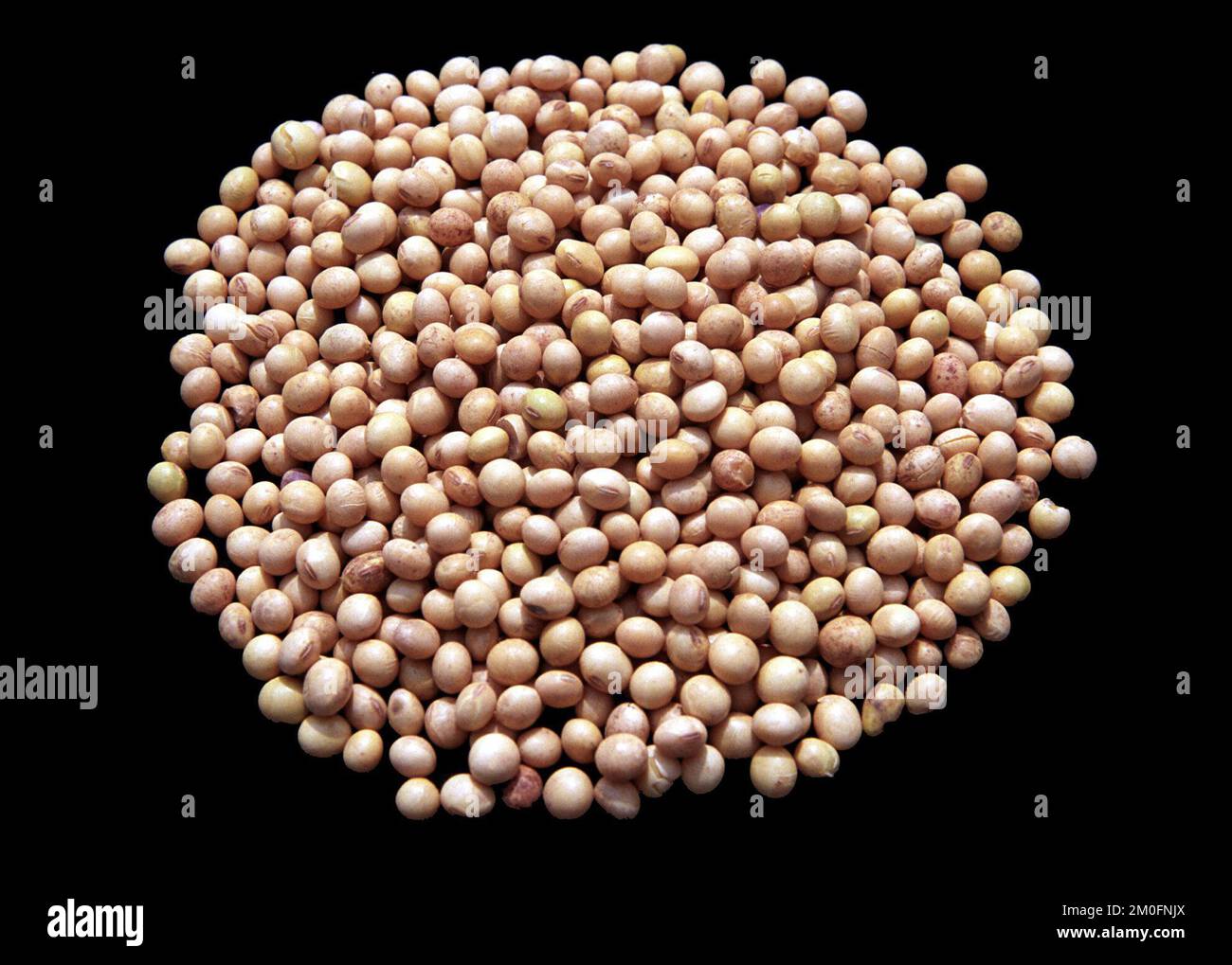 Photos polfoto hi-res stock photography and images - Alamy