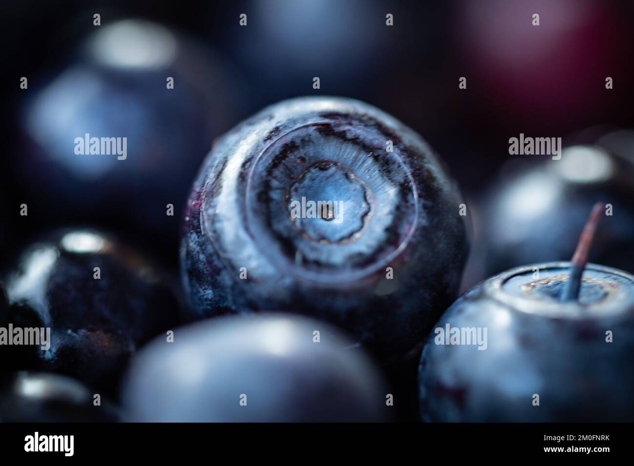 A closeup of blueberries on a stack Stock Photo - Alamy
