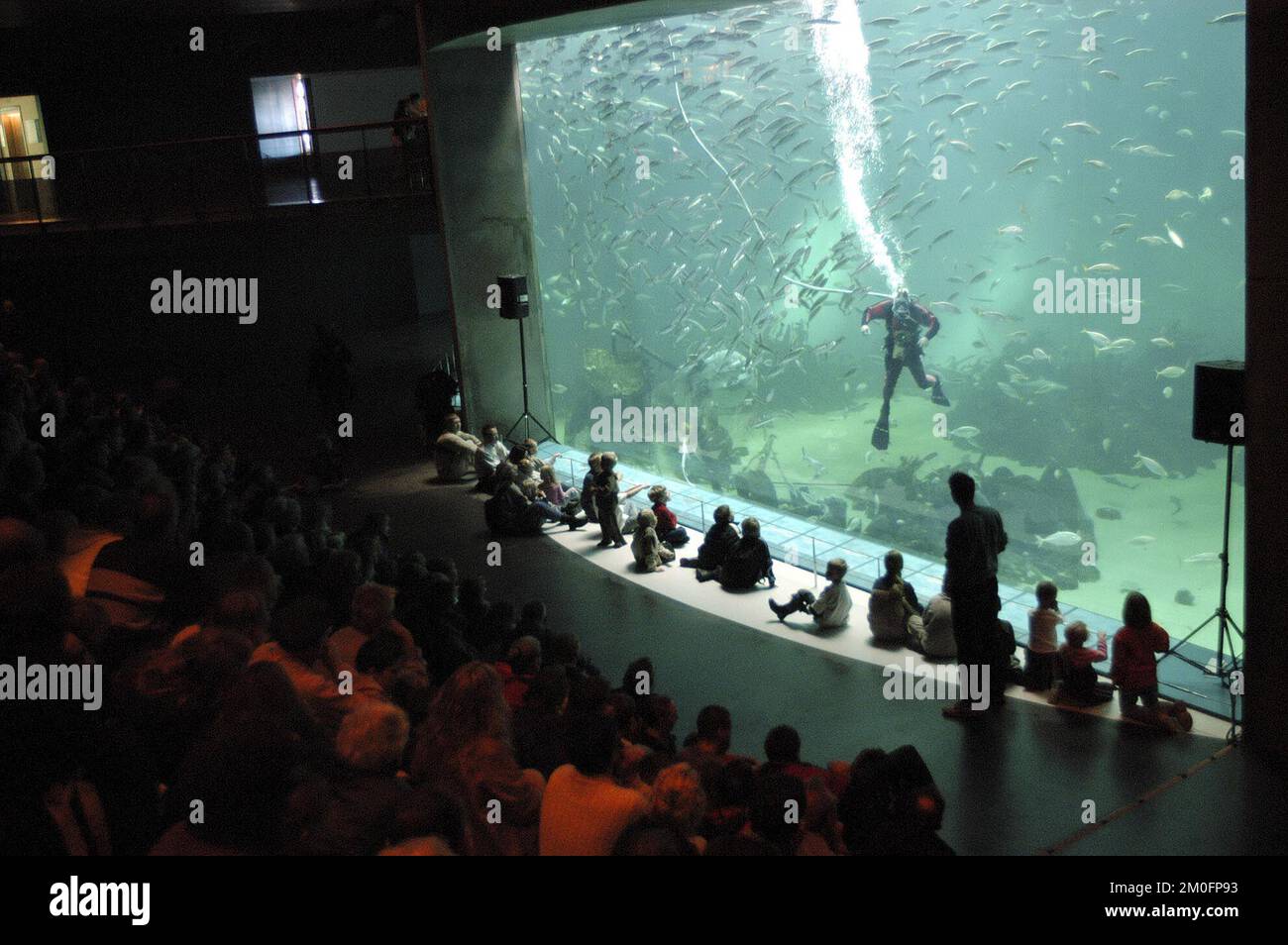 Hirtshals North Sea Oceanarium, Europe's largest aquarium has been ...