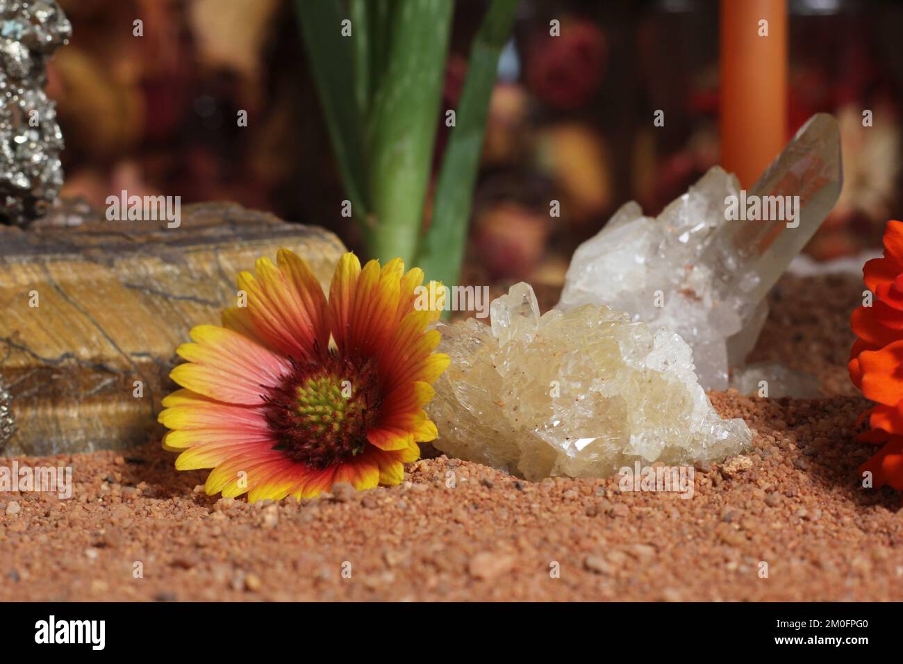 Flower With Pyrite Rocks and Crystals on Australian Red Sand Stock ...