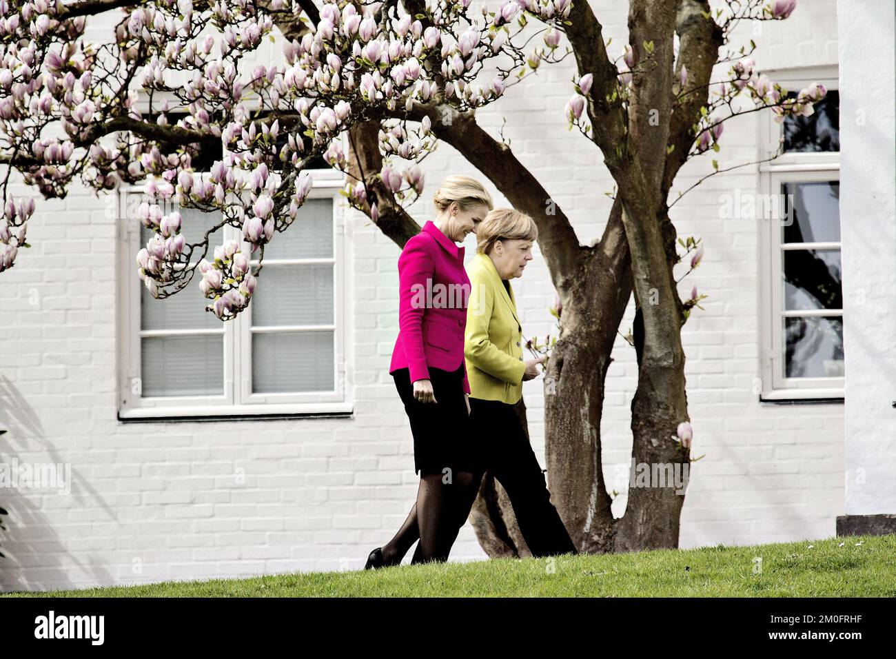 German Chancellor Angela Merkel (R) and Danish Prime Minister Helle ...