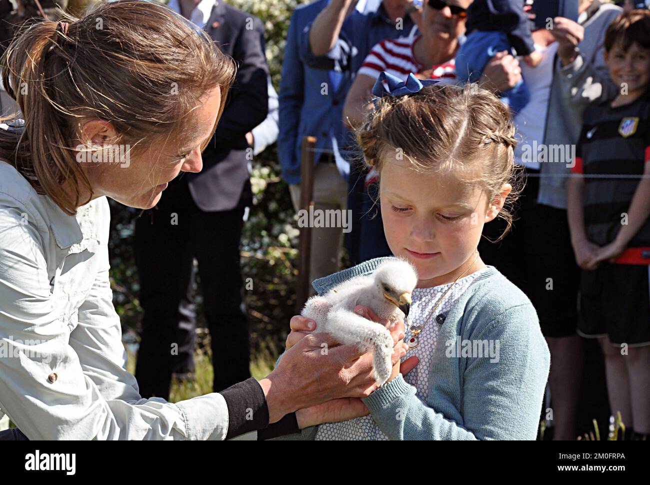 Princess isabelle hi-res stock photography and images - Alamy