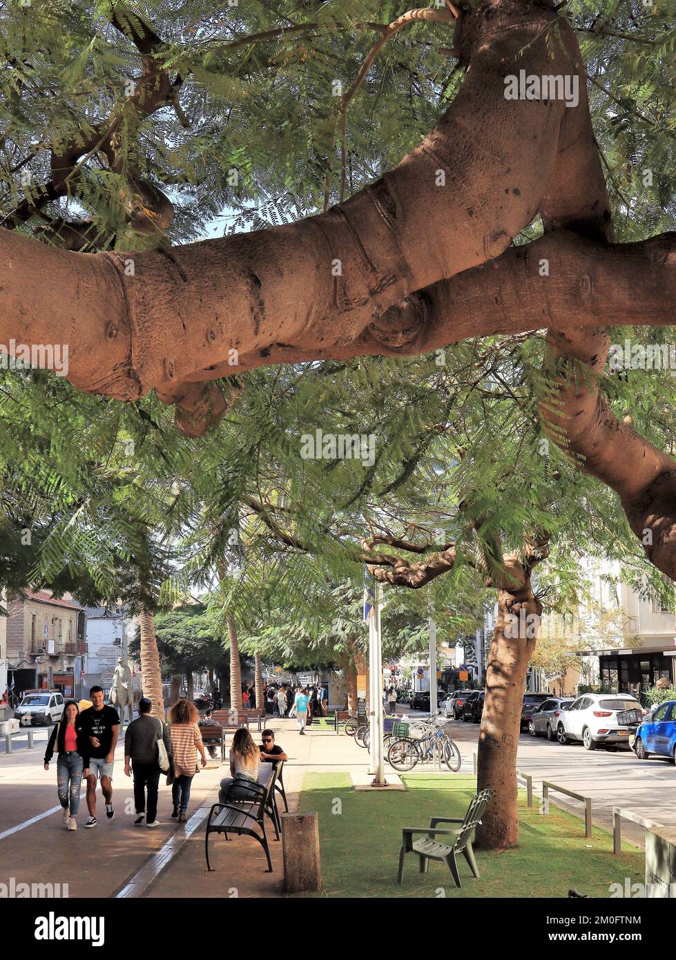 A vertical shot of Rothchild Avenue with green trees and people Stock ...