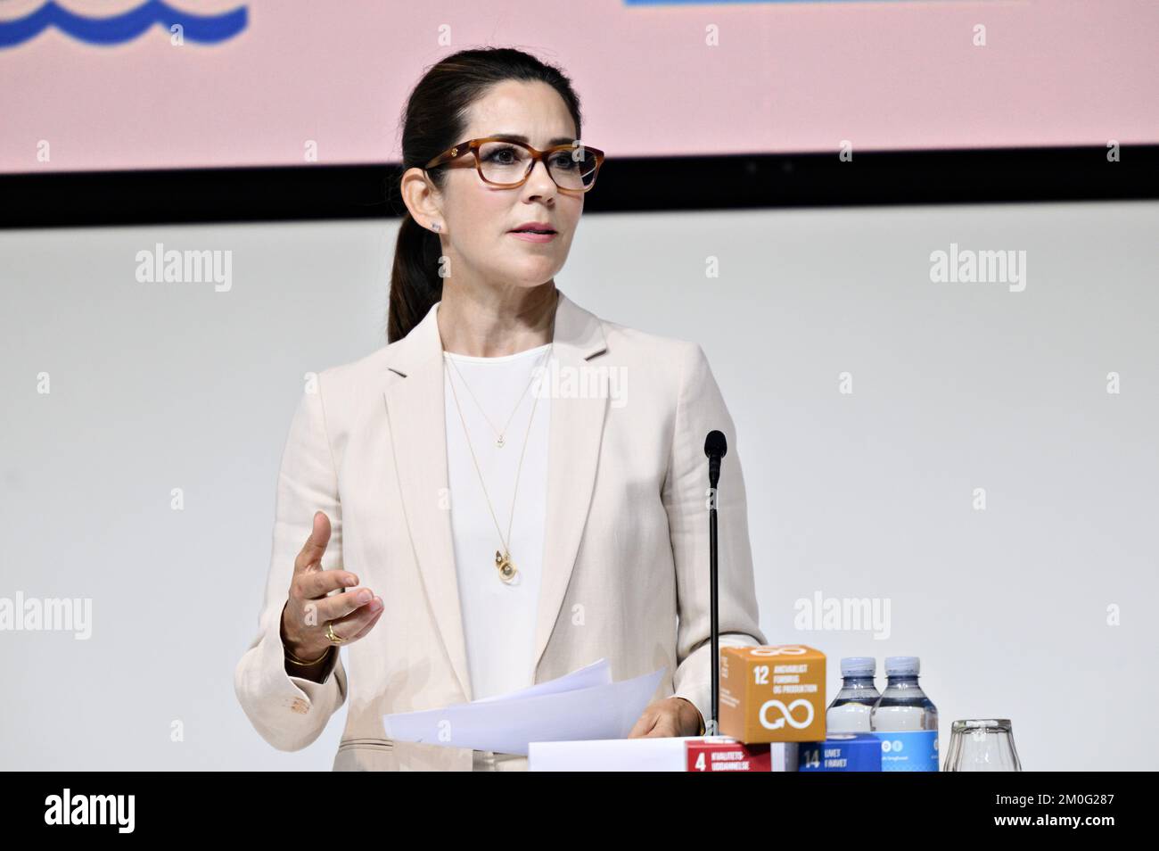 Crown Princess Mary speaks at the conference on the UN Global Goals in ...