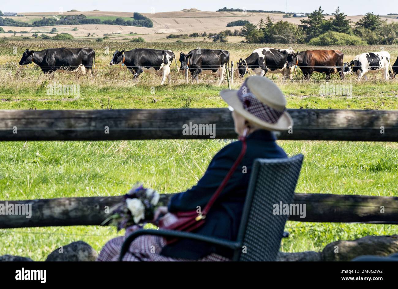 Queen Margrethe visits Thisted municipality during her summer cruise ...